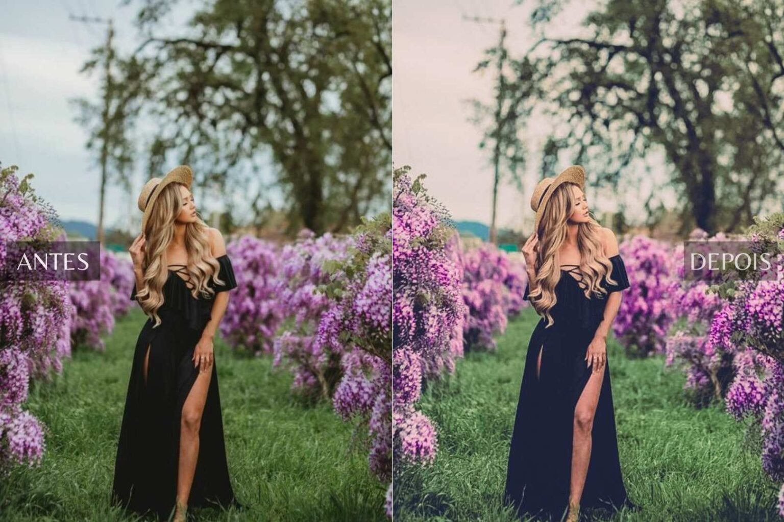 Pastel Colors - 11 Presets Lightroom Para Celular e PC - Pixly.Design ...